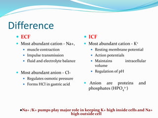 Basic body fluid homeostasis.pptx