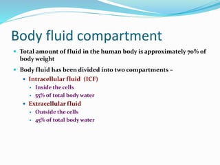 Basic body fluid homeostasis.pptx