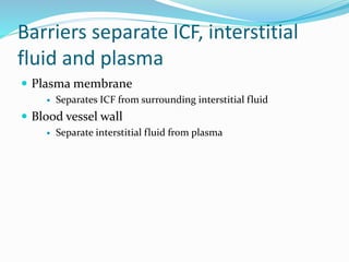 Basic body fluid homeostasis.pptx