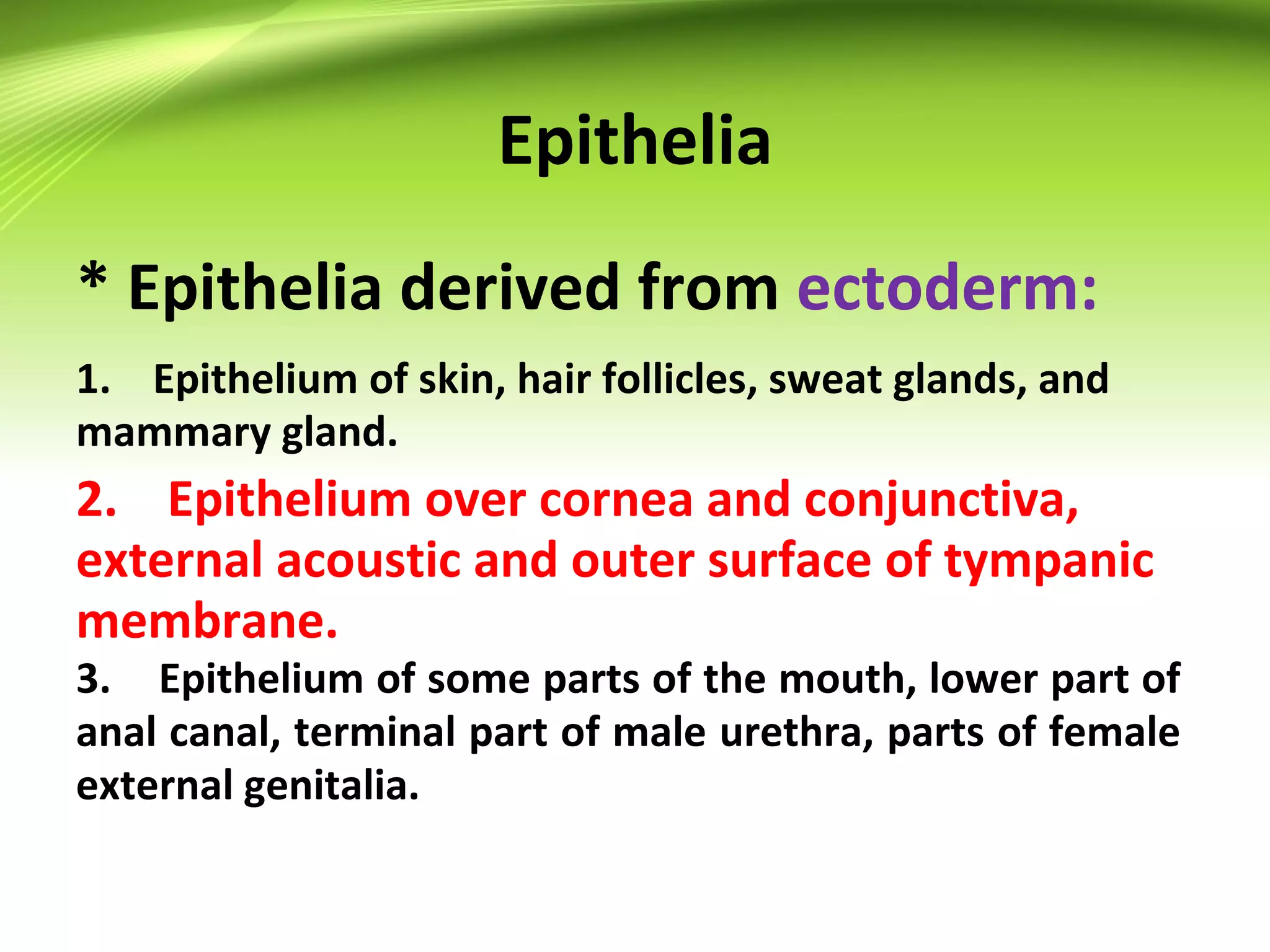 formations of tissues in body | PPT