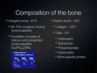 Basic bone biology | PDF