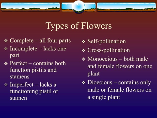 Basic_Botany.ppt