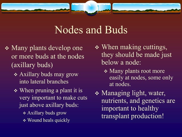 Basic_Botany.ppt