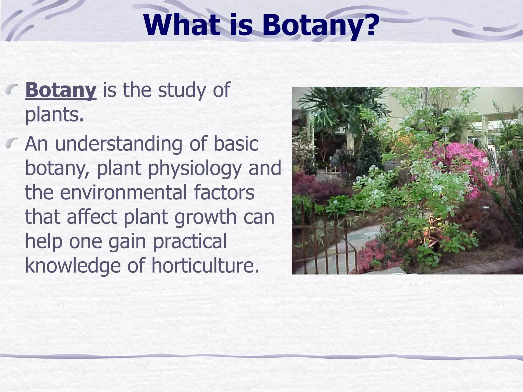 Basic_Botany_and_Plant_ Pathology_(script).ppt