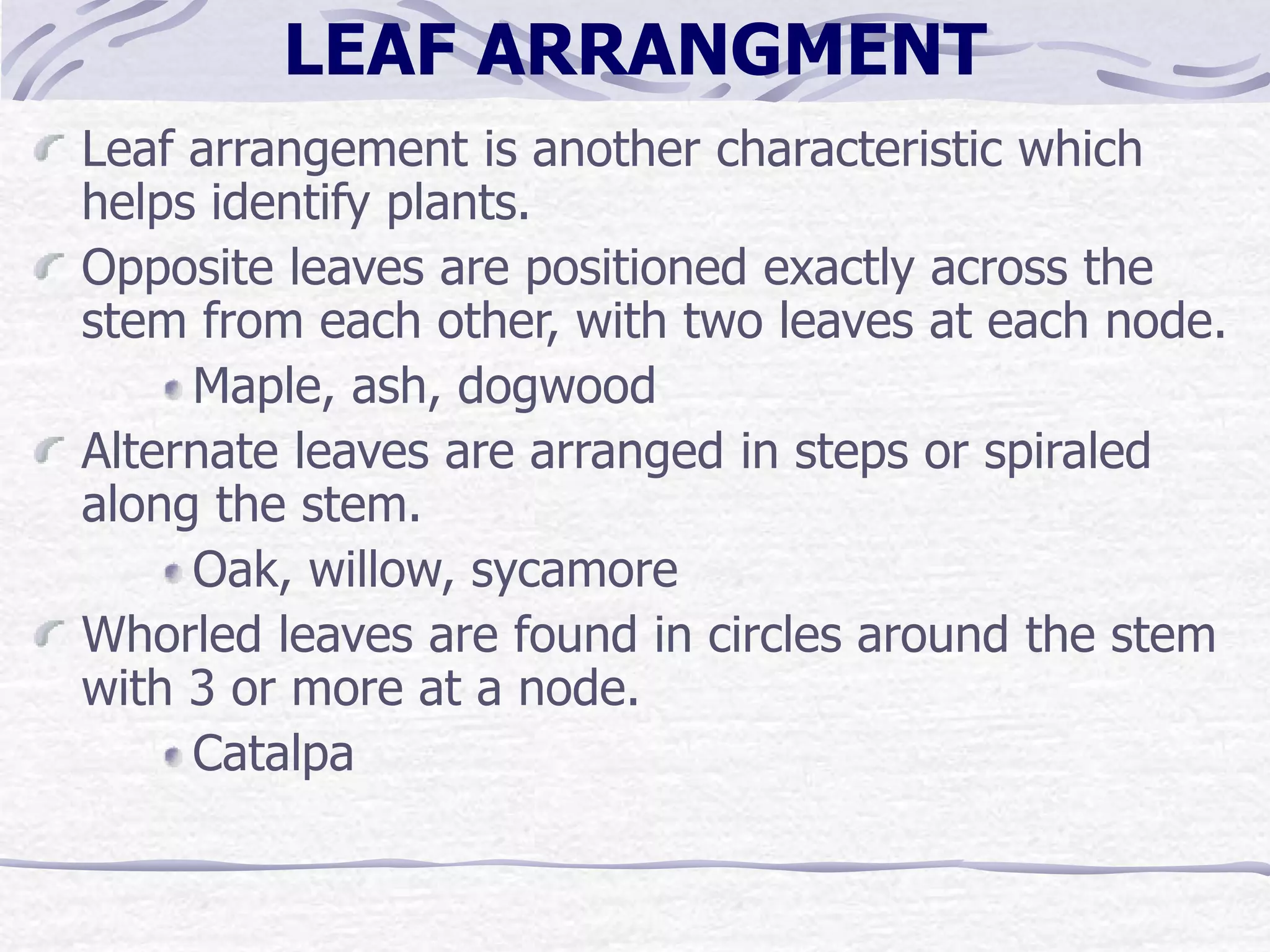 Basic_Botany_and_Plant_ Pathology_(script).ppt