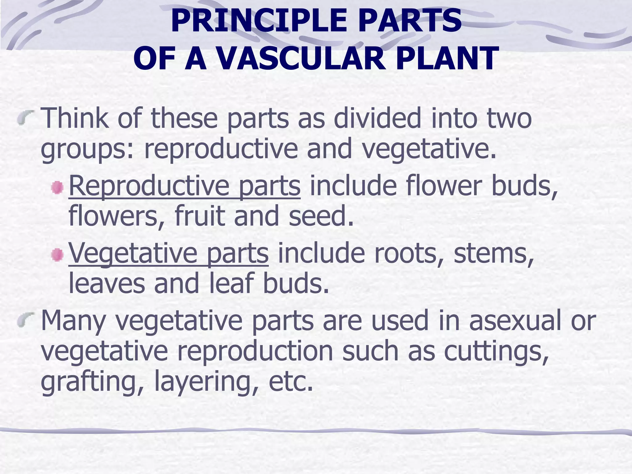 Basic_Botany_and_Plant_ Pathology_(script).ppt