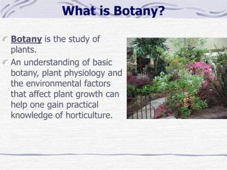 Basic_Botany_and_Plant_ Pathology_(script).ppt