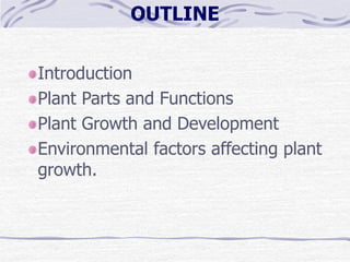 Basic_Botany_and_Plant_ Pathology_(script).ppt