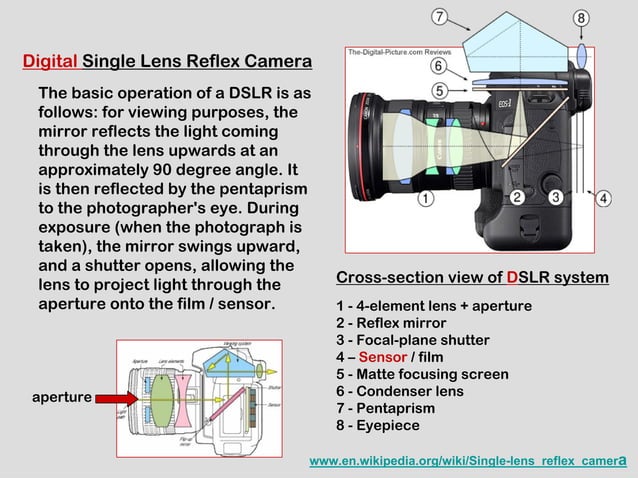 Basic camera controls | PDF | Photography | Arts and Crafts