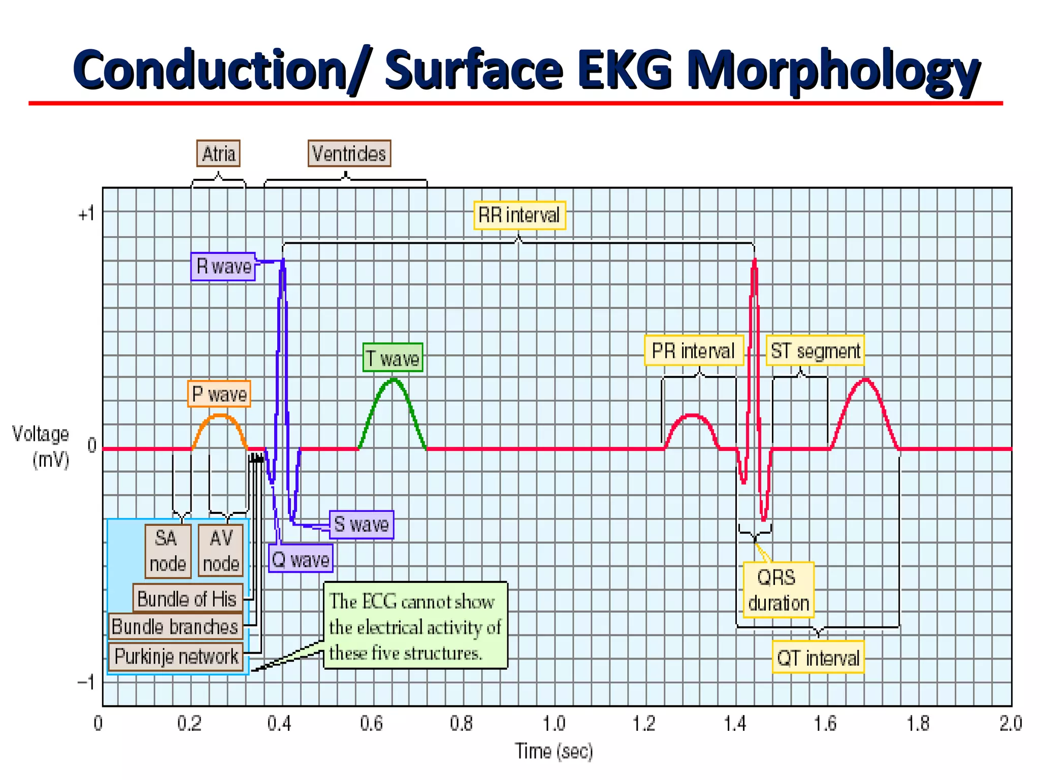 Basic Cardiac Electrophysiology and ECG Concepts_20120902_北區 | PPT