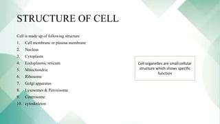 basic cell.pptx