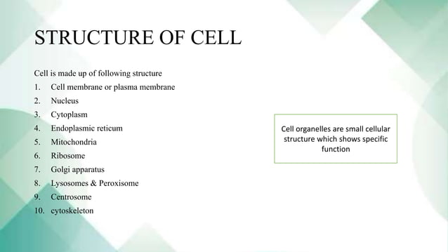 basic cell.pptx