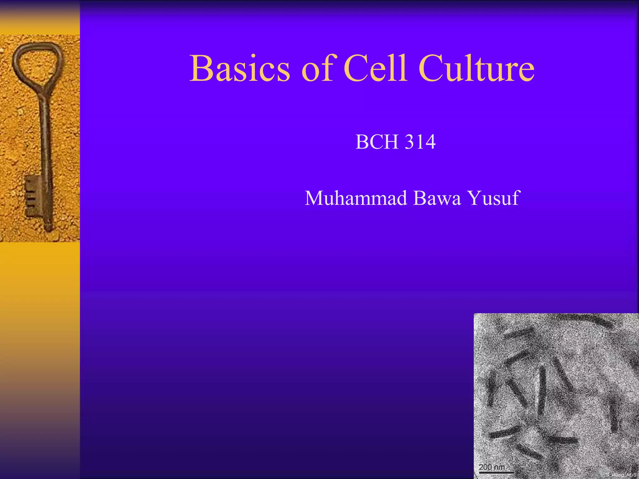 basic cell culture 314 2023.ppt