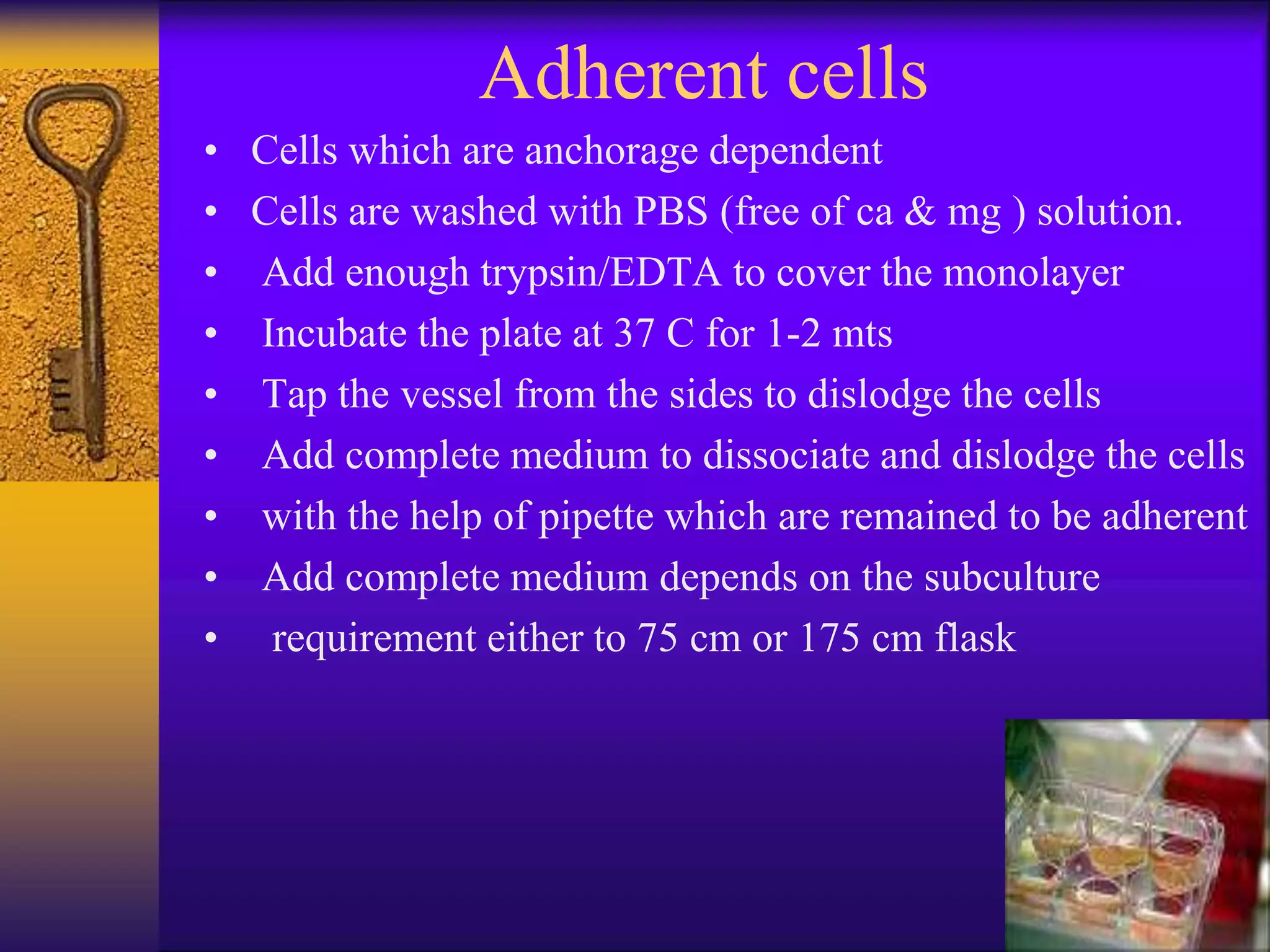 basic cell culture 314 2023.ppt