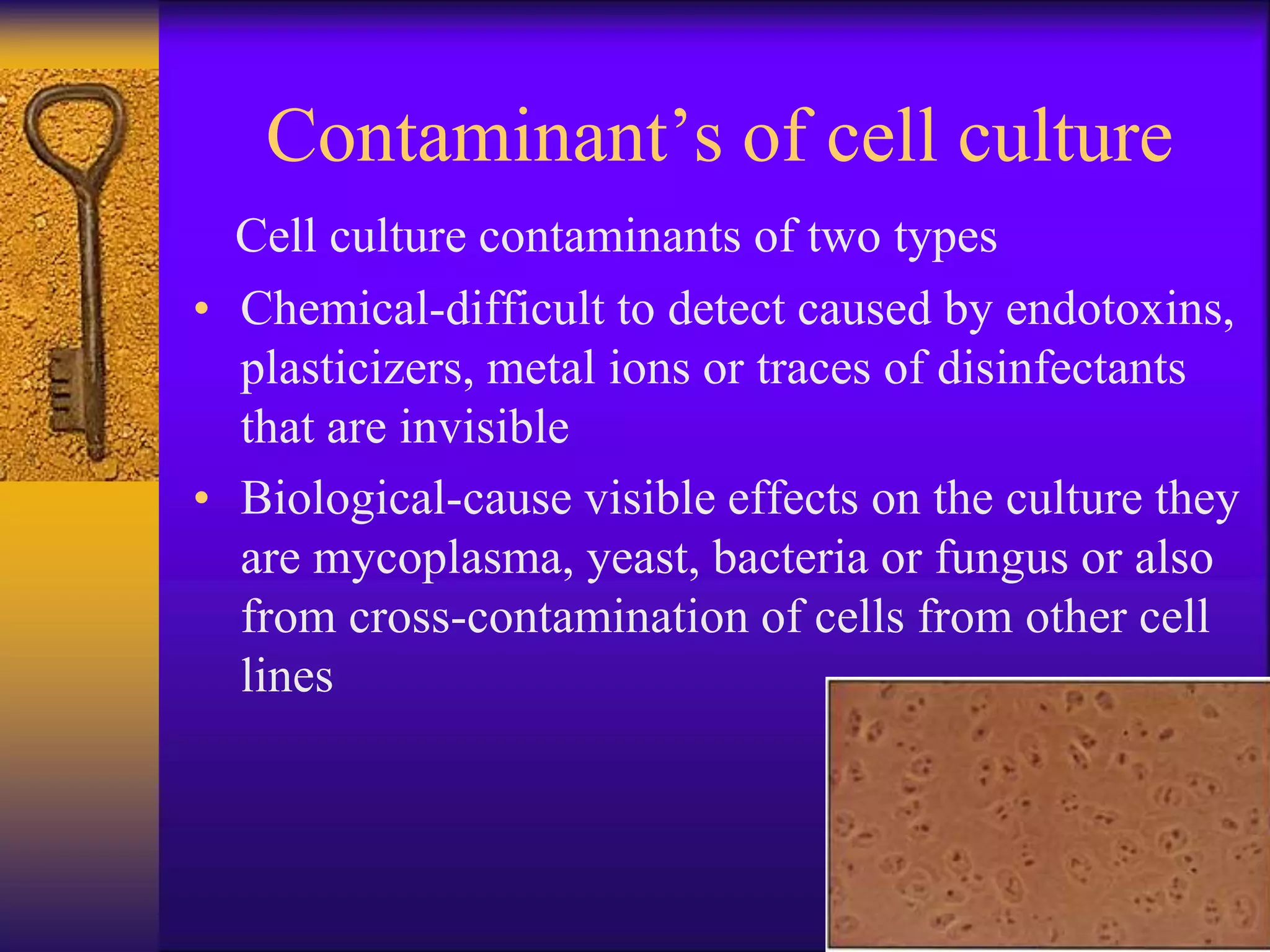 basic cell culture 314 2023.ppt