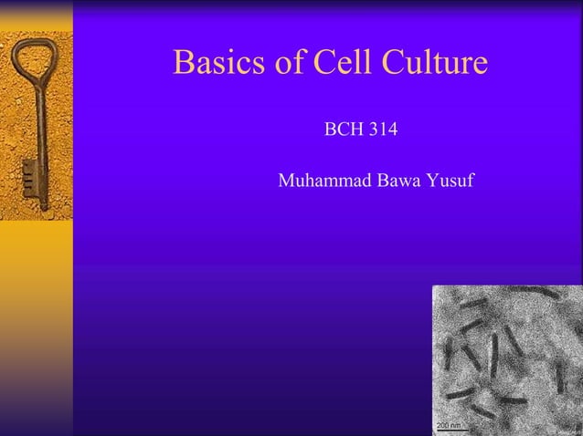 basic cell culture 314 2023.ppt