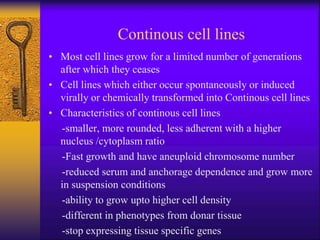 basic cell culture 314 2023.ppt