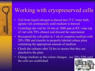 basic cell culture 314 2023.ppt