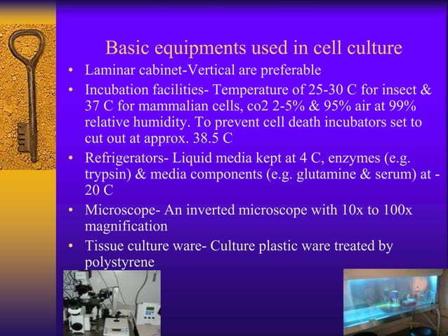 basic cell culture 314 2023.ppt