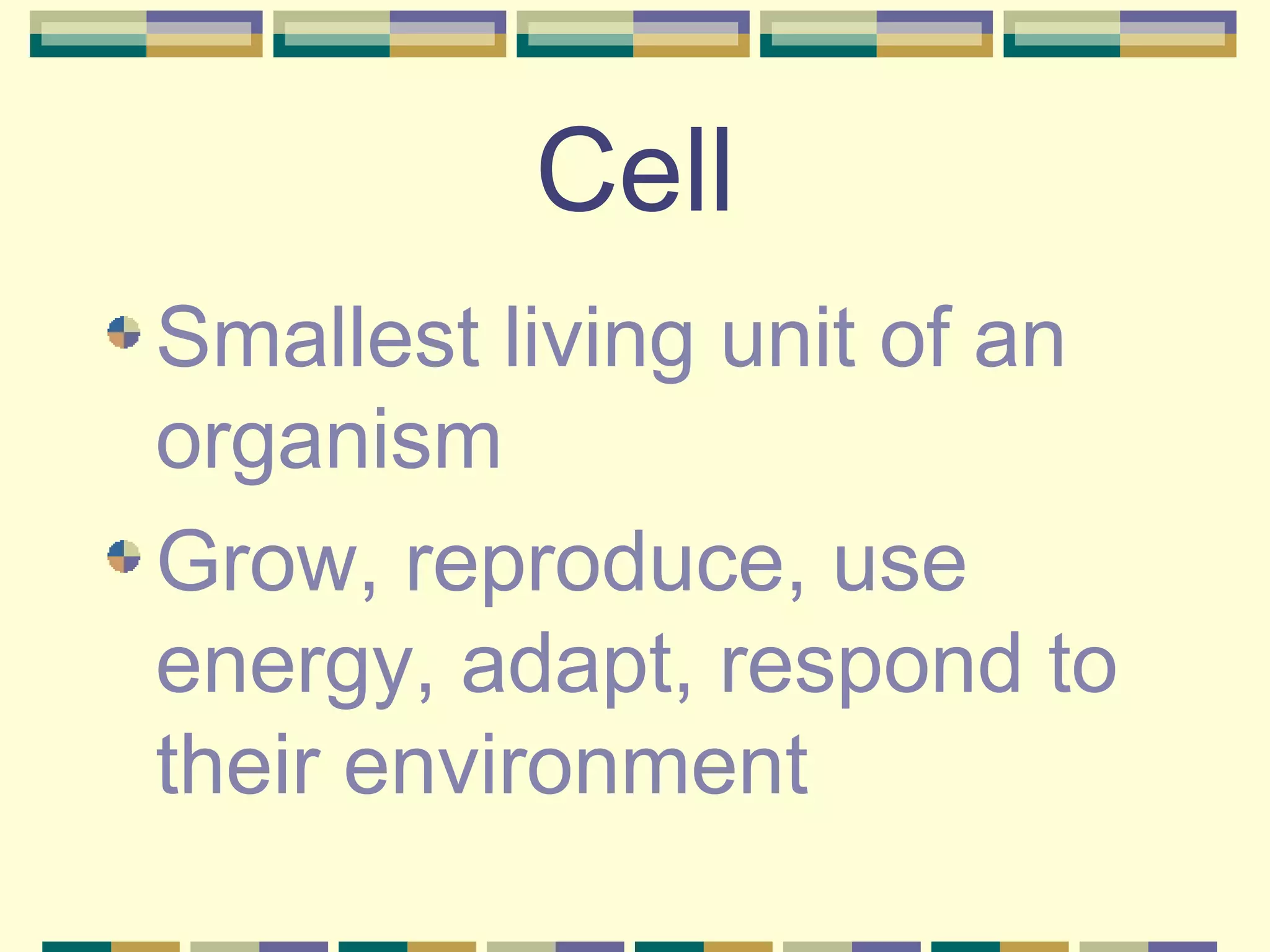 Basic cell structure | PPT | Biological Sciences | Science