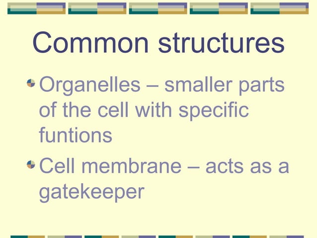 Basic cell structure | PPT | Biological Sciences | Science