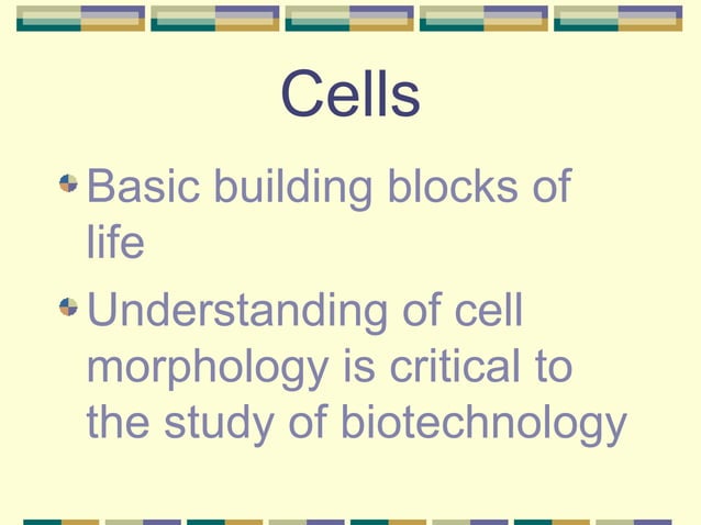 Basic cell structure | PPT | Biological Sciences | Science
