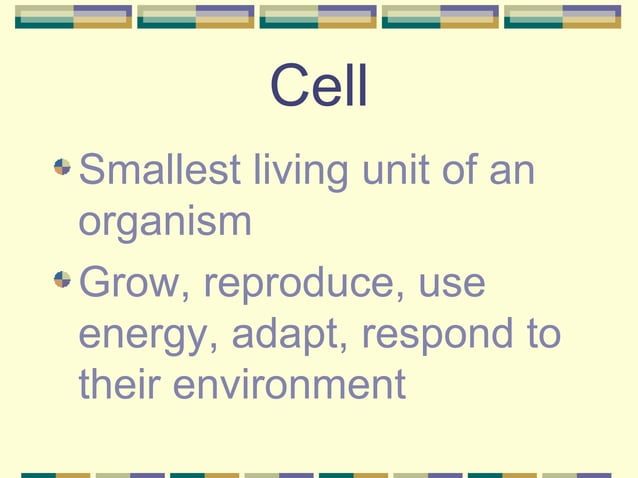 Basic cell structure | PPT | Biological Sciences | Science