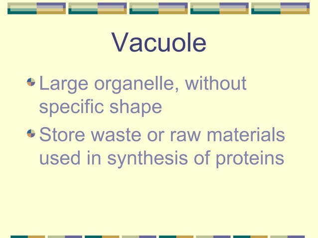 Basic cell structure | PPT | Biological Sciences | Science