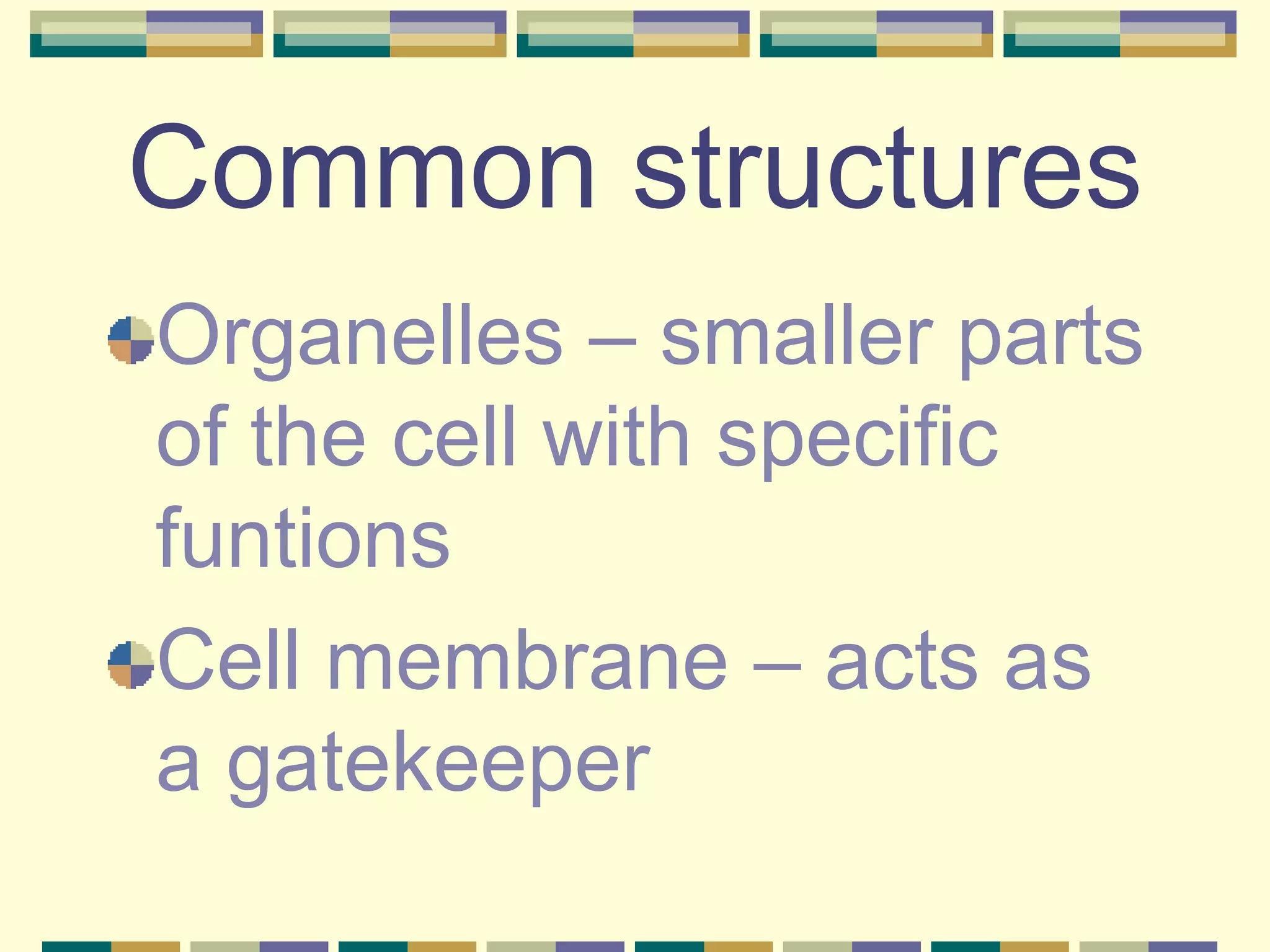 Basic Cell Structure.ppt