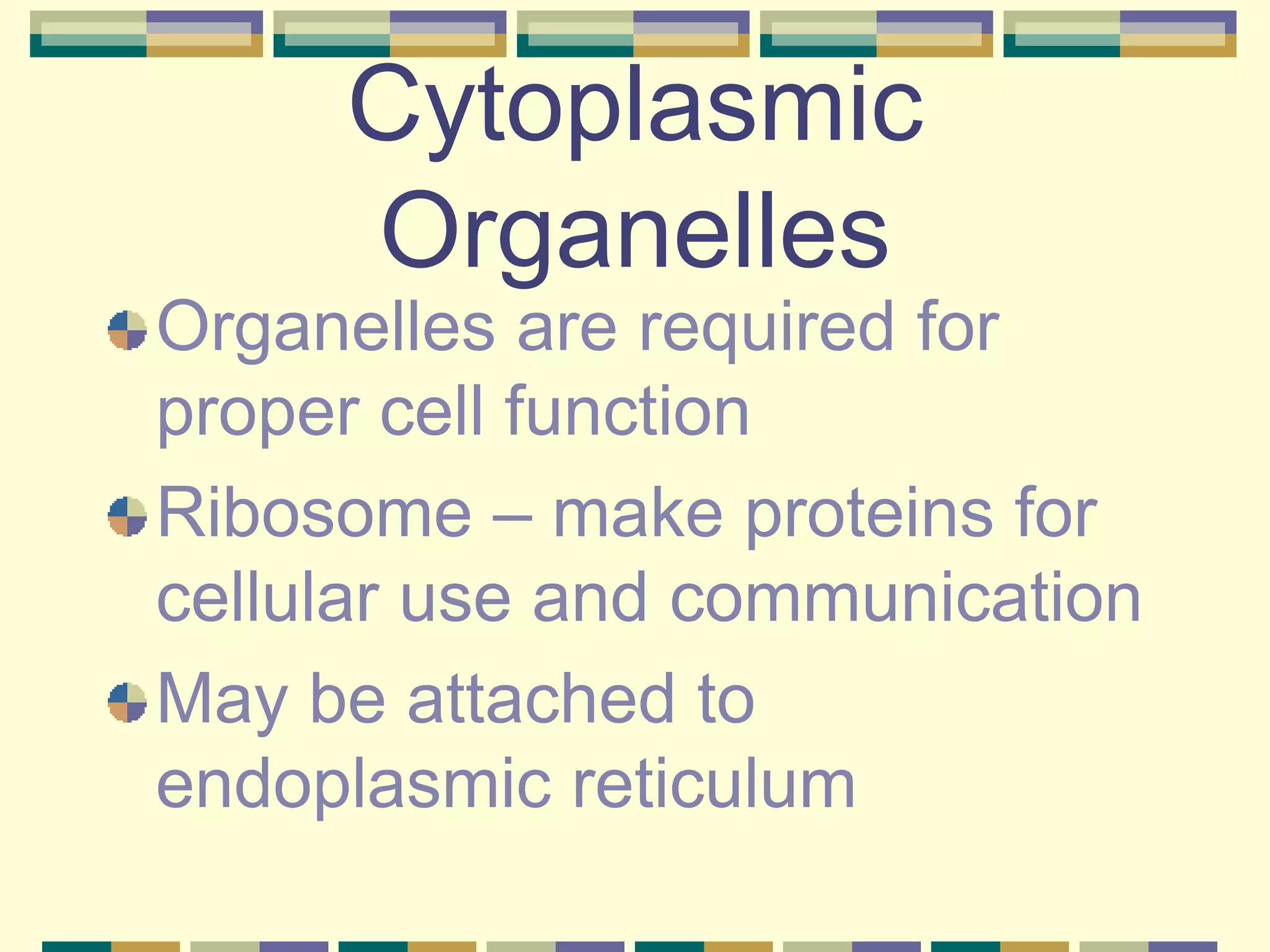 Basic Cell Structure.ppt