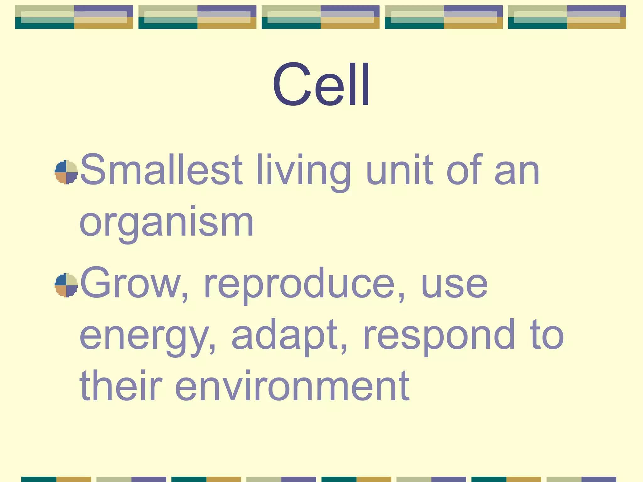 Basic Cell Structure.ppt