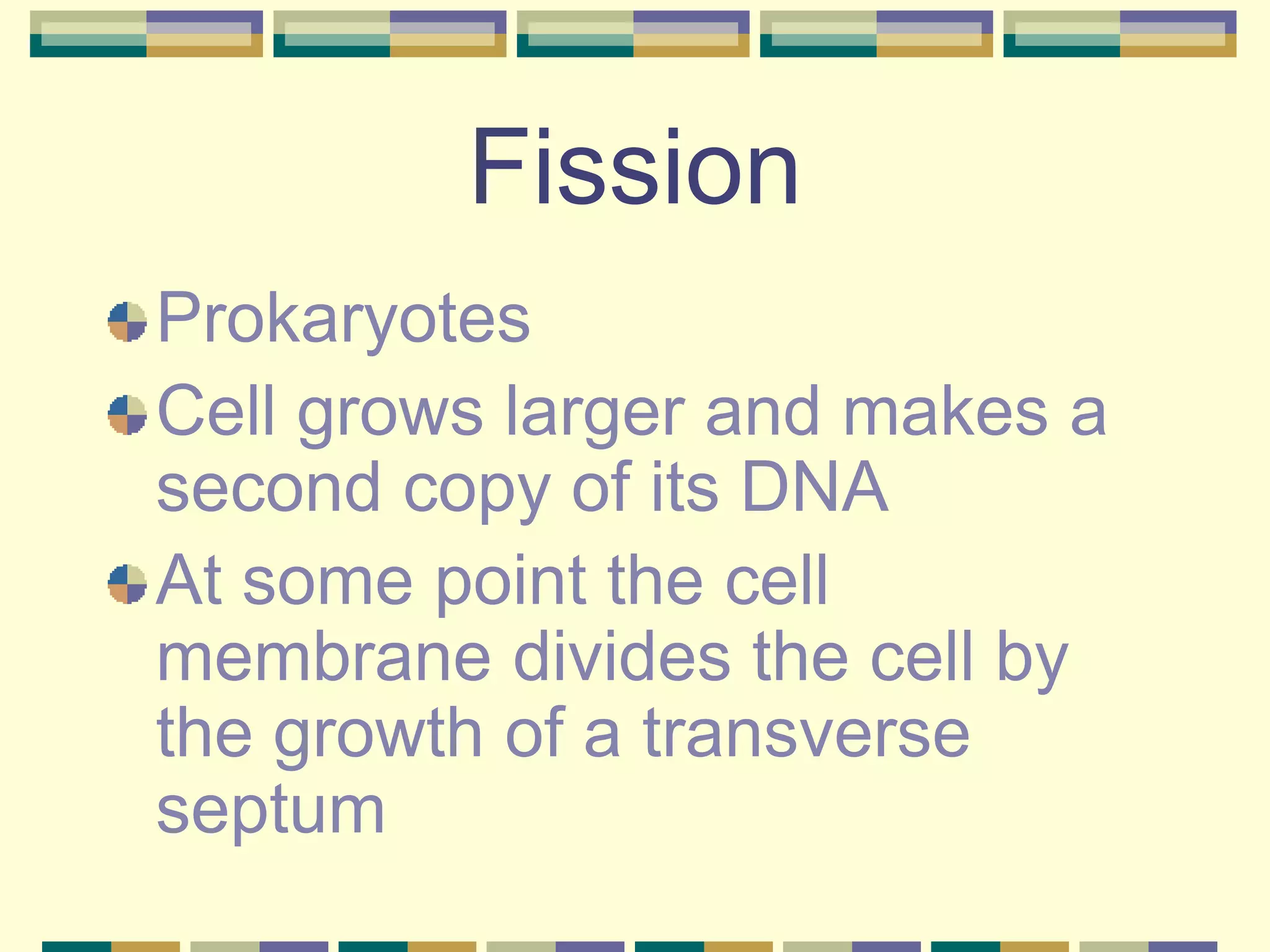 Basic Cell Structure.ppt