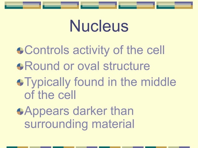 Basic Cell Structure.ppt | Free Download