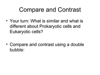 Basic cell types | PPT | Biological Sciences | Science