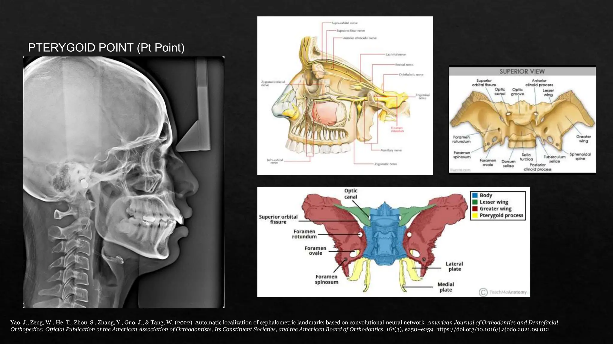 BASIC CEPHALOMETRY.pptx