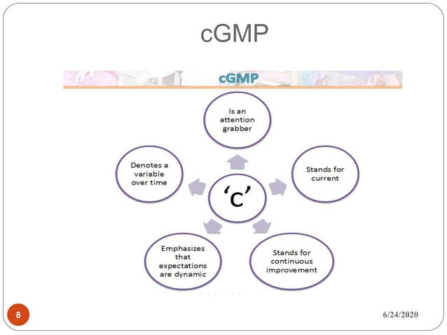 Basic cGMP | PPT | Pharmaceutical Industry | Industries