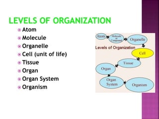 Basic Chemistry of Life PPT | PPTX