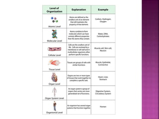 Basic Chemistry of Life PPT | PPTX