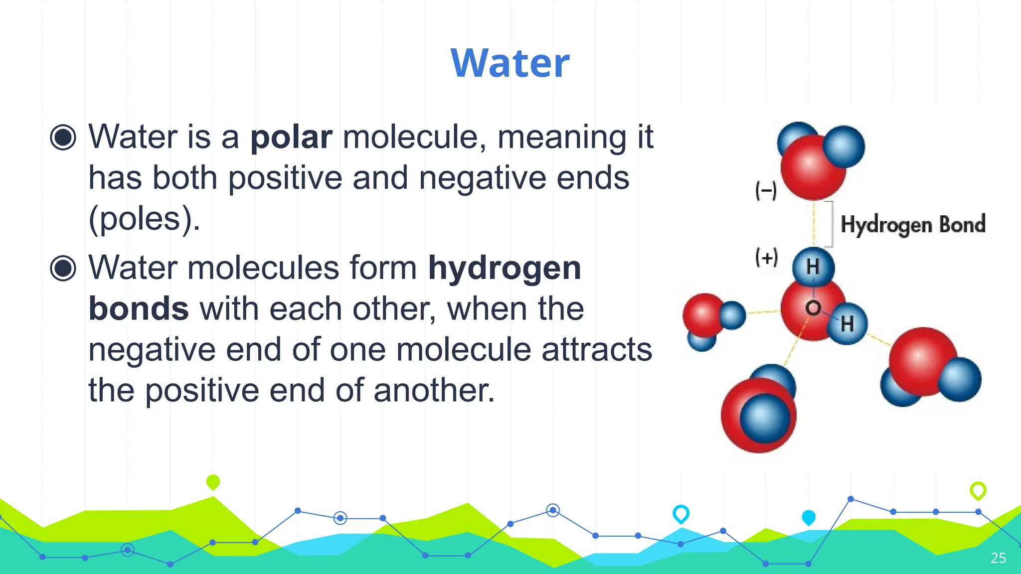 Basic Chemistry of Life (2025) macromolecules and organic compounds | PPTX