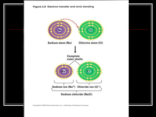 Advanced Biology Unit 1 Notes | PPT