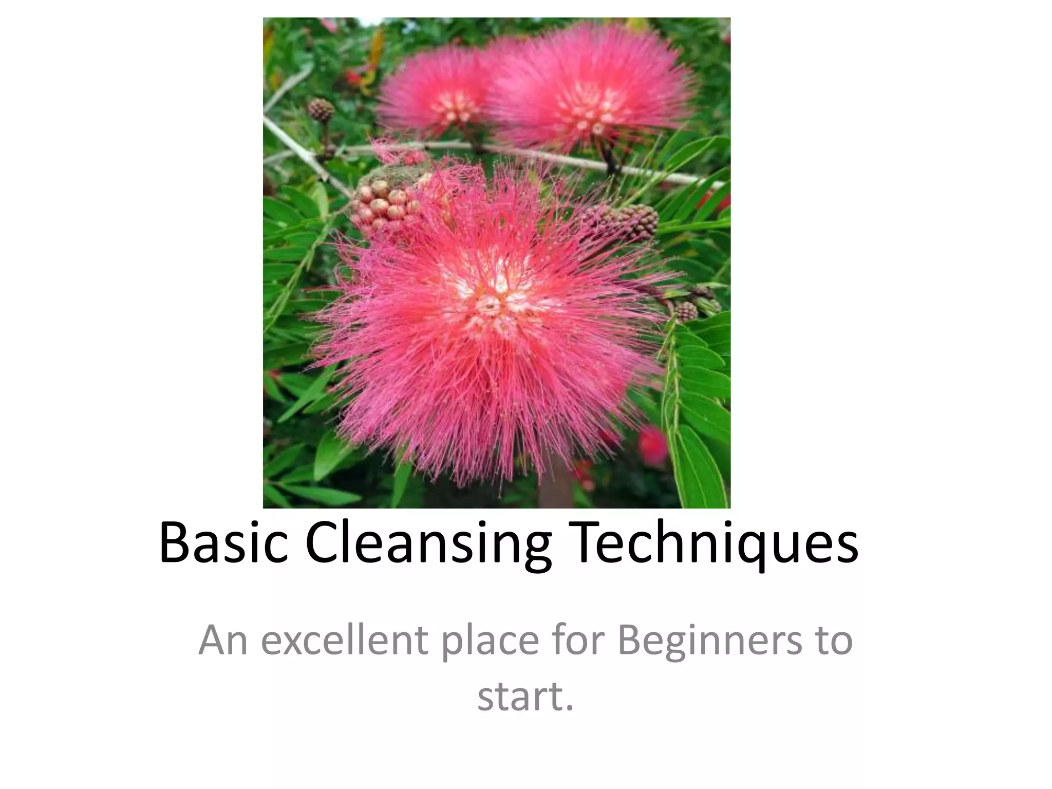 Basic cleansing techniques: a detox guiede for beginners | PPT