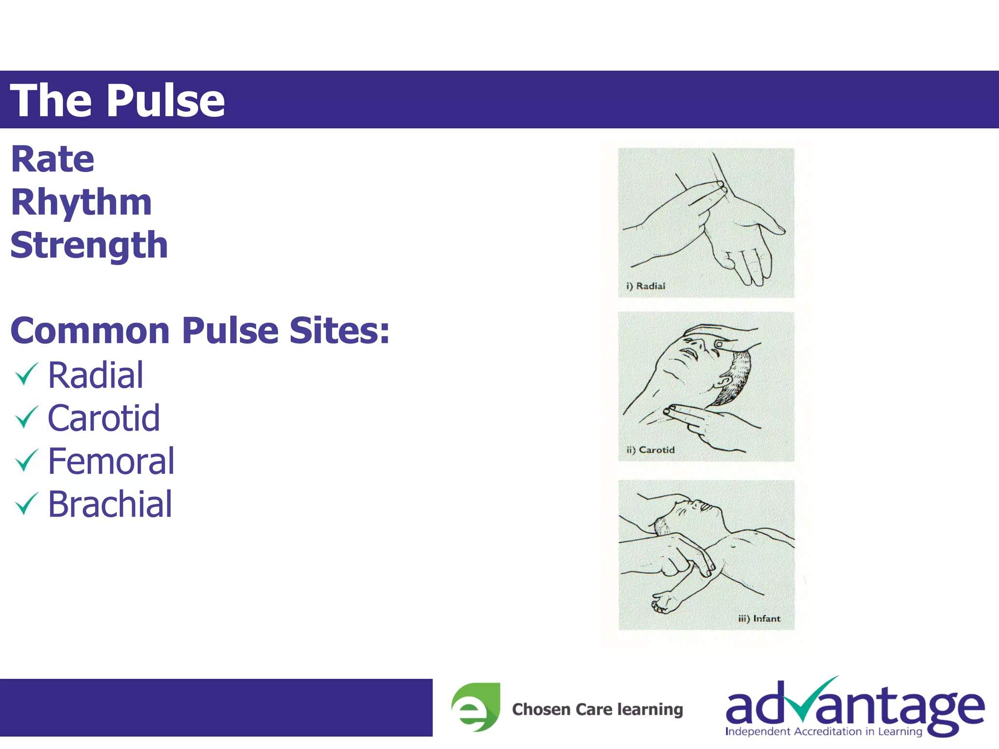 Basic clinical observations | PDF