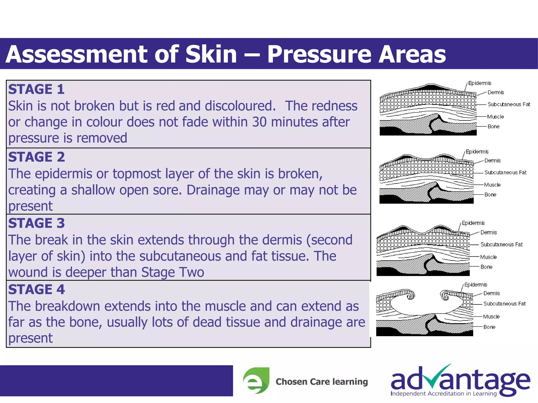 Basic clinical observations | PDF