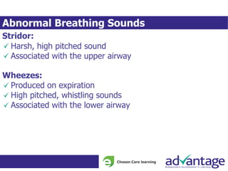 Basic clinical observations | PDF