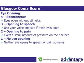 Basic clinical observations | PDF