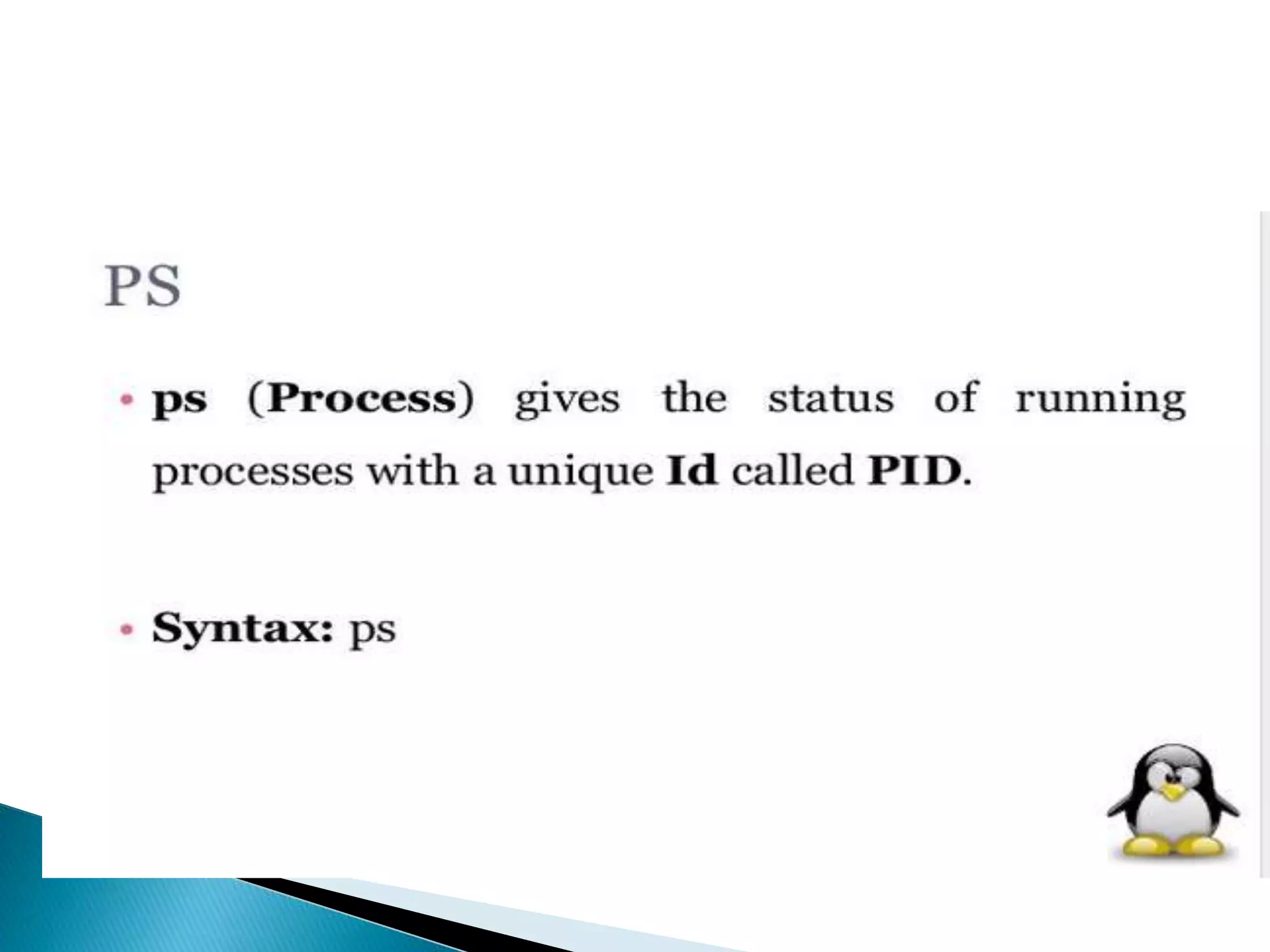 Basic Commands.ppt | Operating Systems | Computer Software and Applications