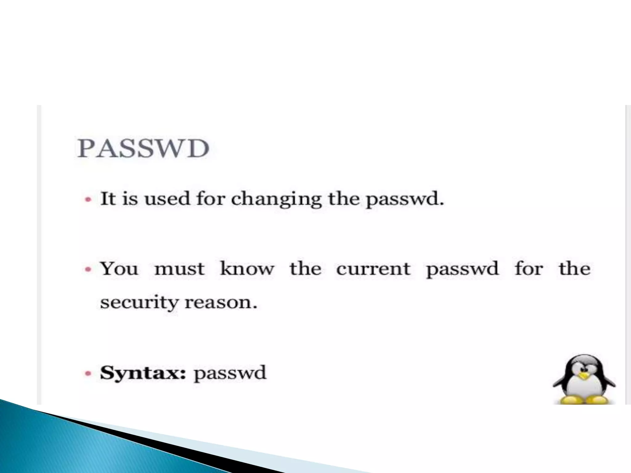 Basic Commands.ppt | Operating Systems | Computer Software and Applications