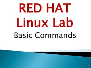 Basic Commands.ppt