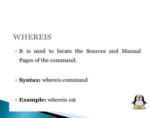 Basic Commands.ppt