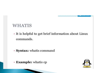 Basic Commands.ppt